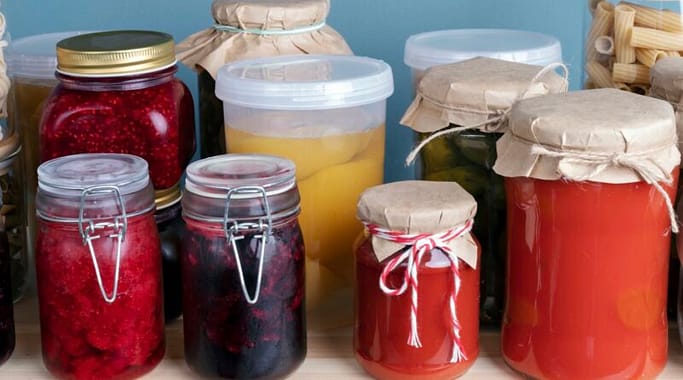 Vegan and Organic Fermented Condiment Wonders